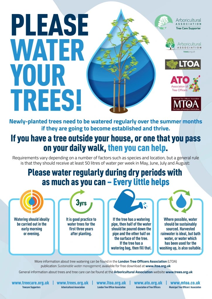New Trees need Water! | Acocks Green Neighbourhood Forum