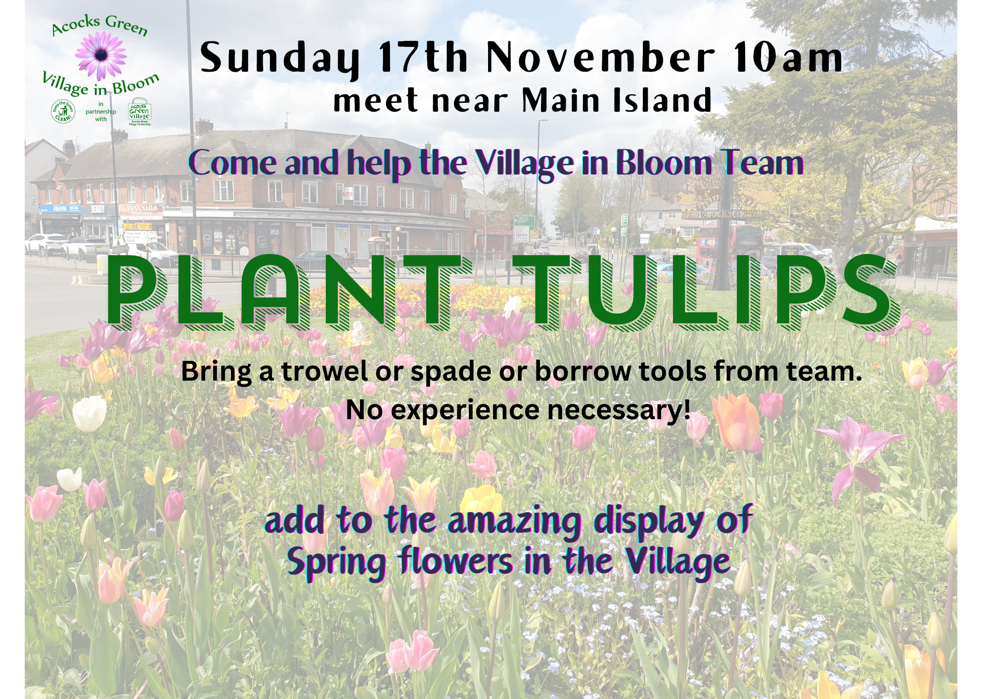 ** Mass Community Spring Bulb Planting ** | Acocks Green Neighbourhood ...